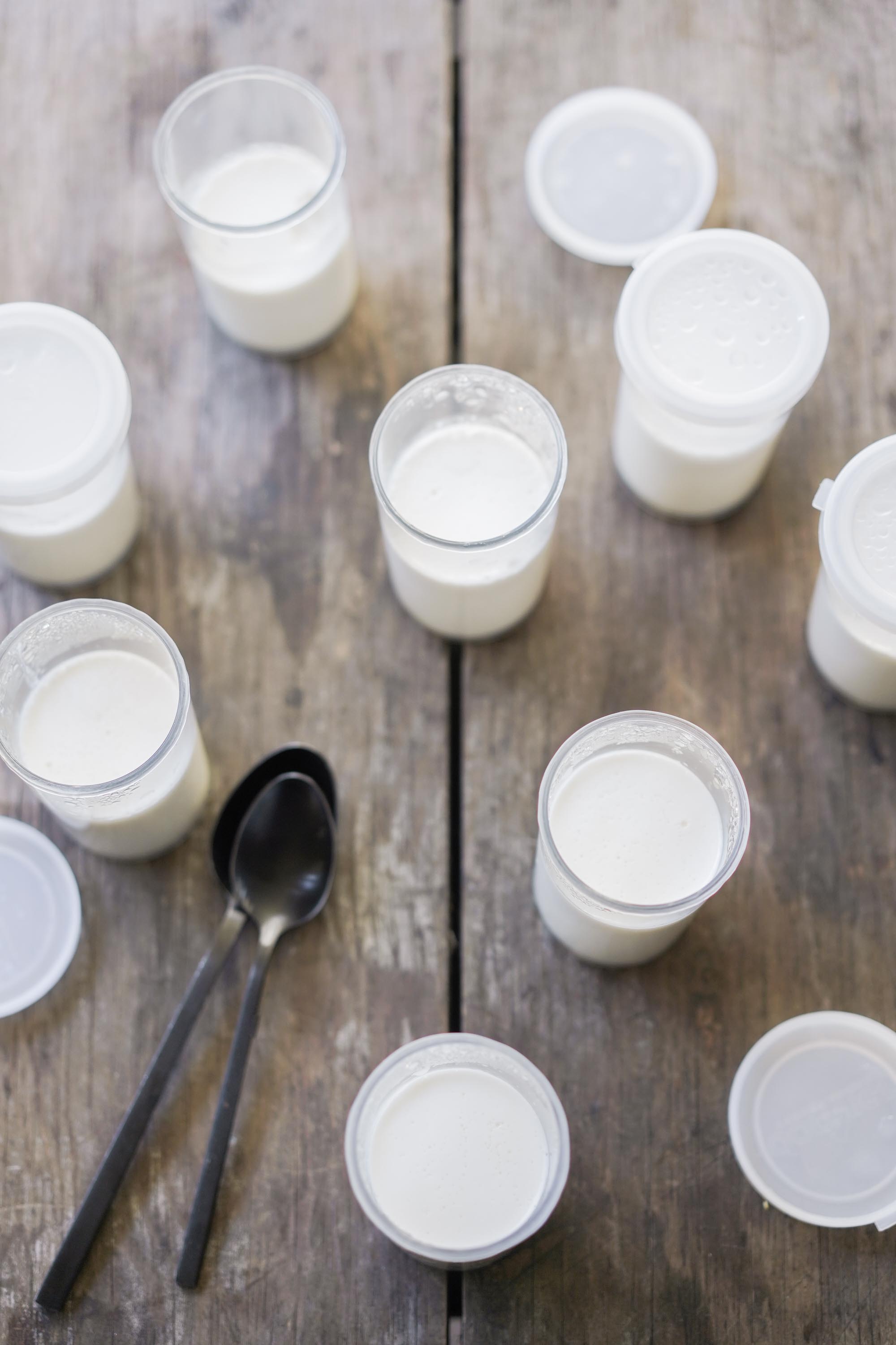 Vietnamese Yogurt Recipe (Sữa Chua/Da Ua) - Hungry Huy