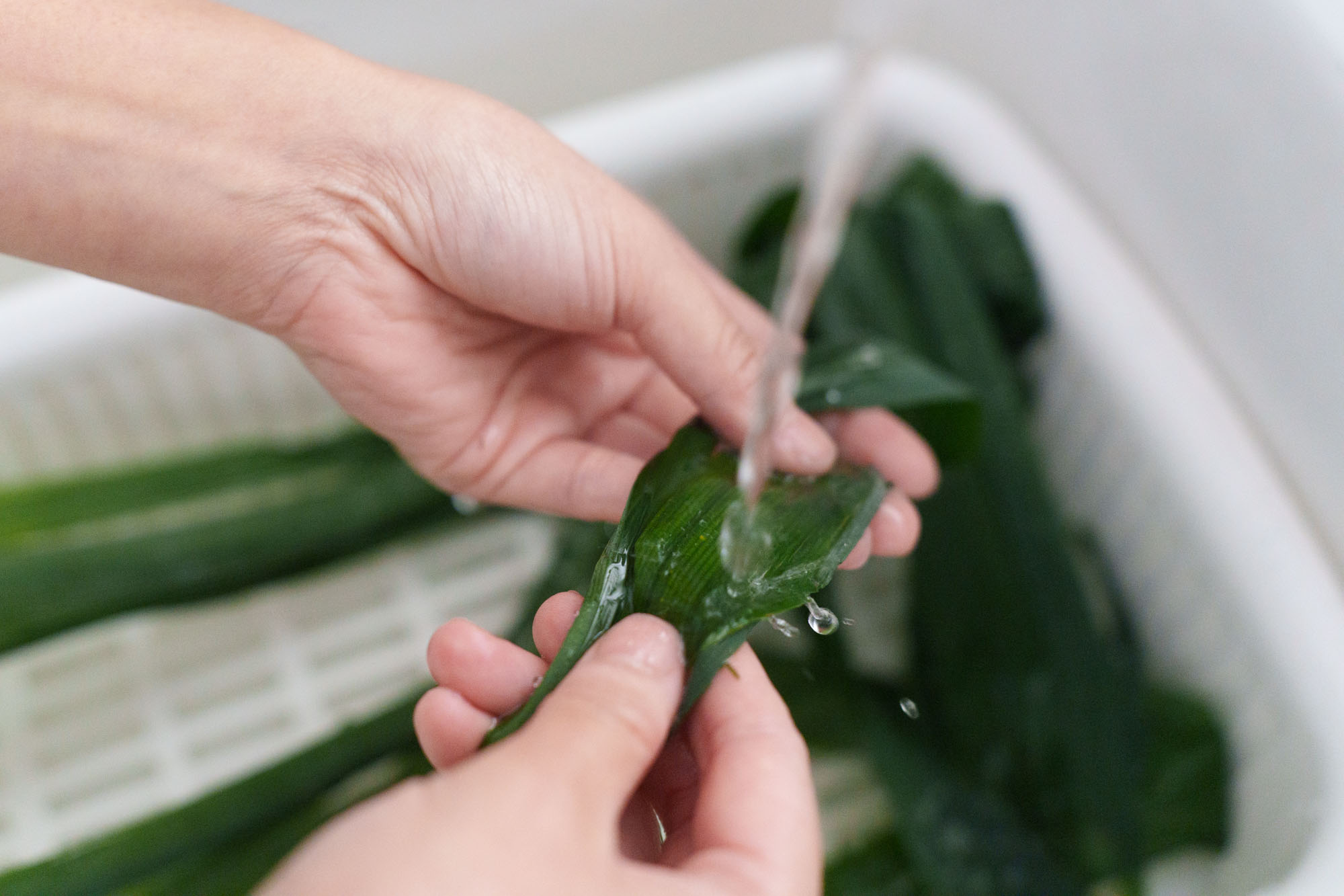 Pandan Syrup Recipe (All-Natural) - Hungry Huy